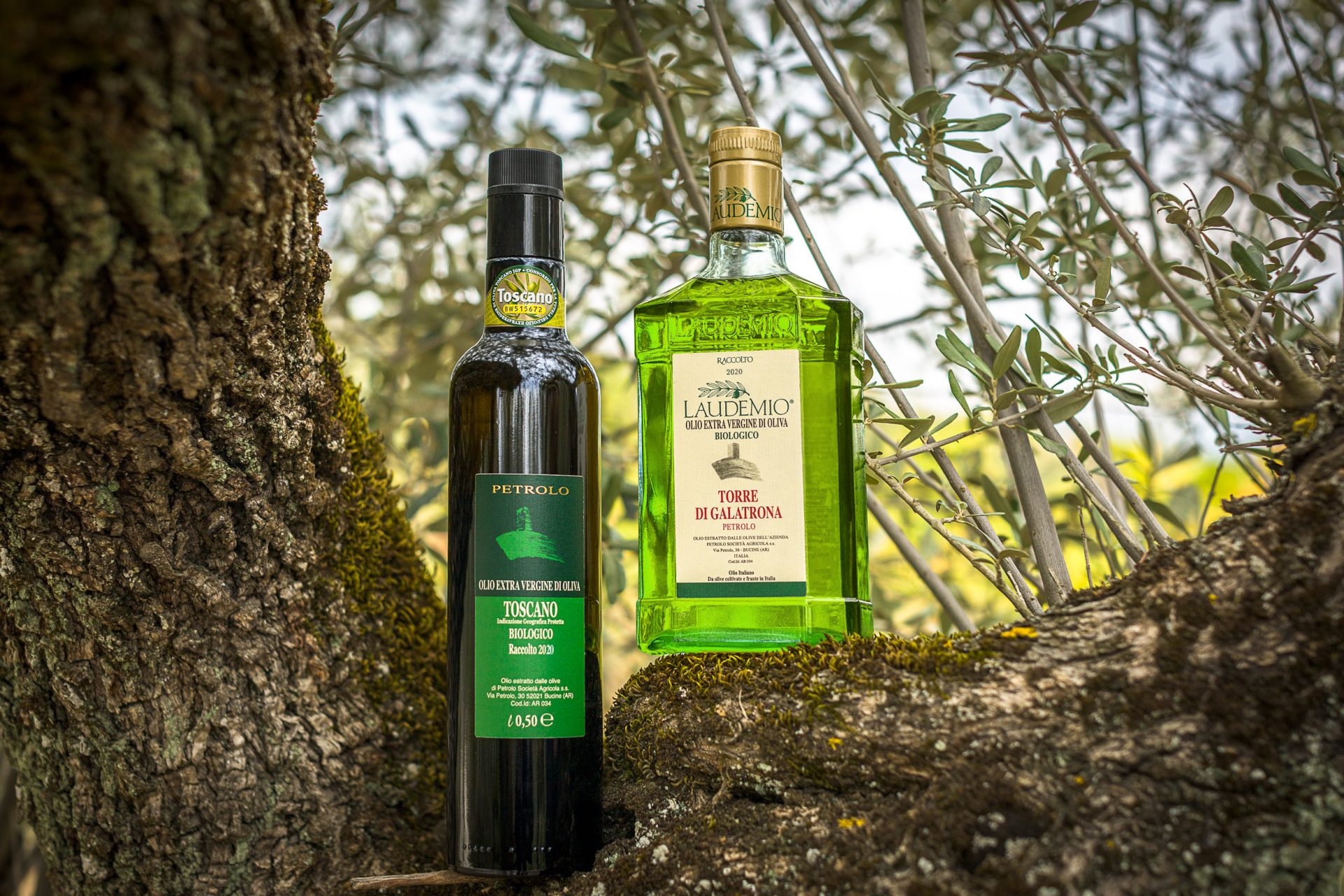 Extra Virgin Olive Oil - Petrolo